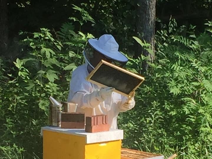 The Honey and Bee Connection – Simply, the best prices on quality bee ...