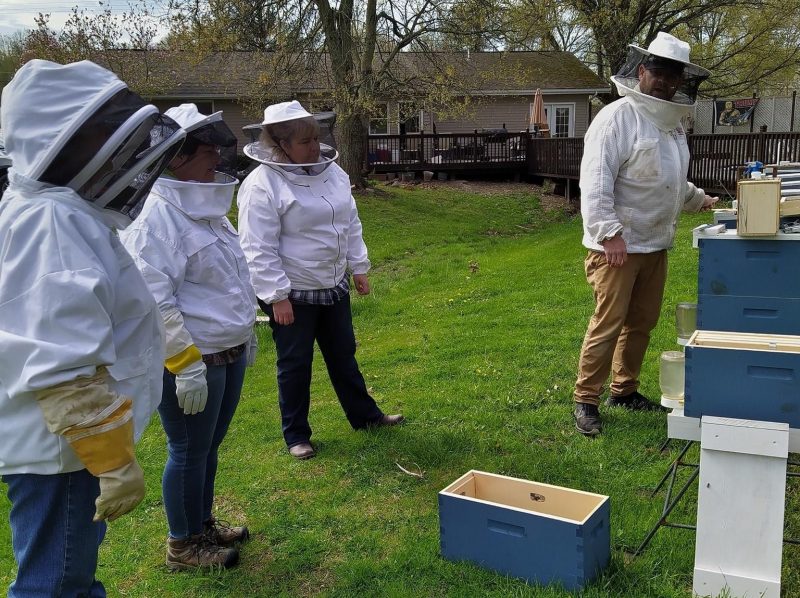 The Honey and Bee Connection – Simply, the best prices on quality bee ...