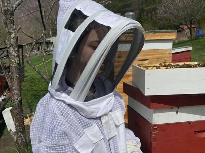 The Honey and Bee Connection – Simply, the best prices on quality bee ...