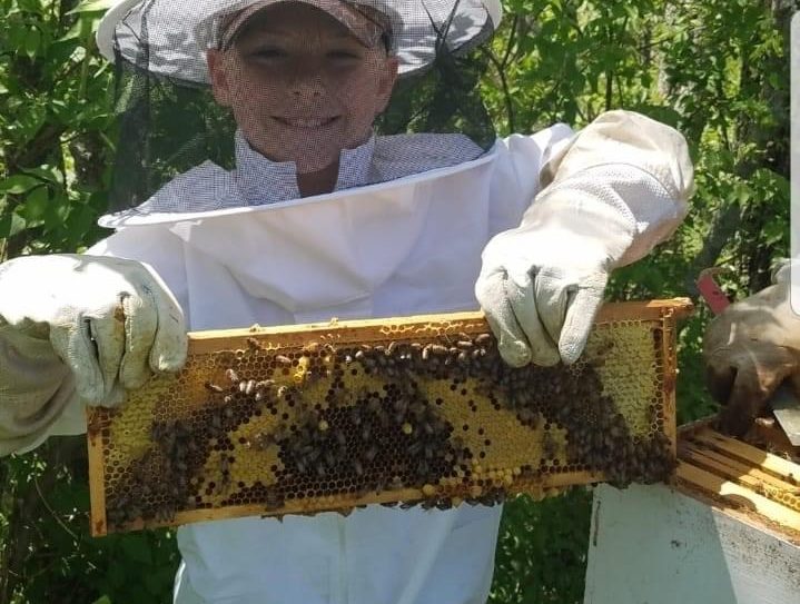 The Honey and Bee Connection – Simply, the best prices on quality bee ...